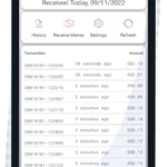 Merchant Guides – NETS